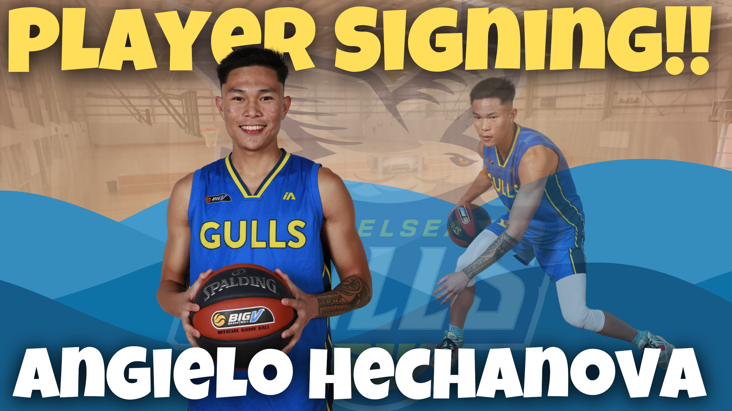 Senior Gulls — Chelsea & District Basketball Association
