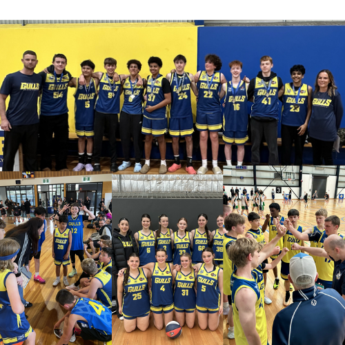 Chelsea & District Basketball Association
