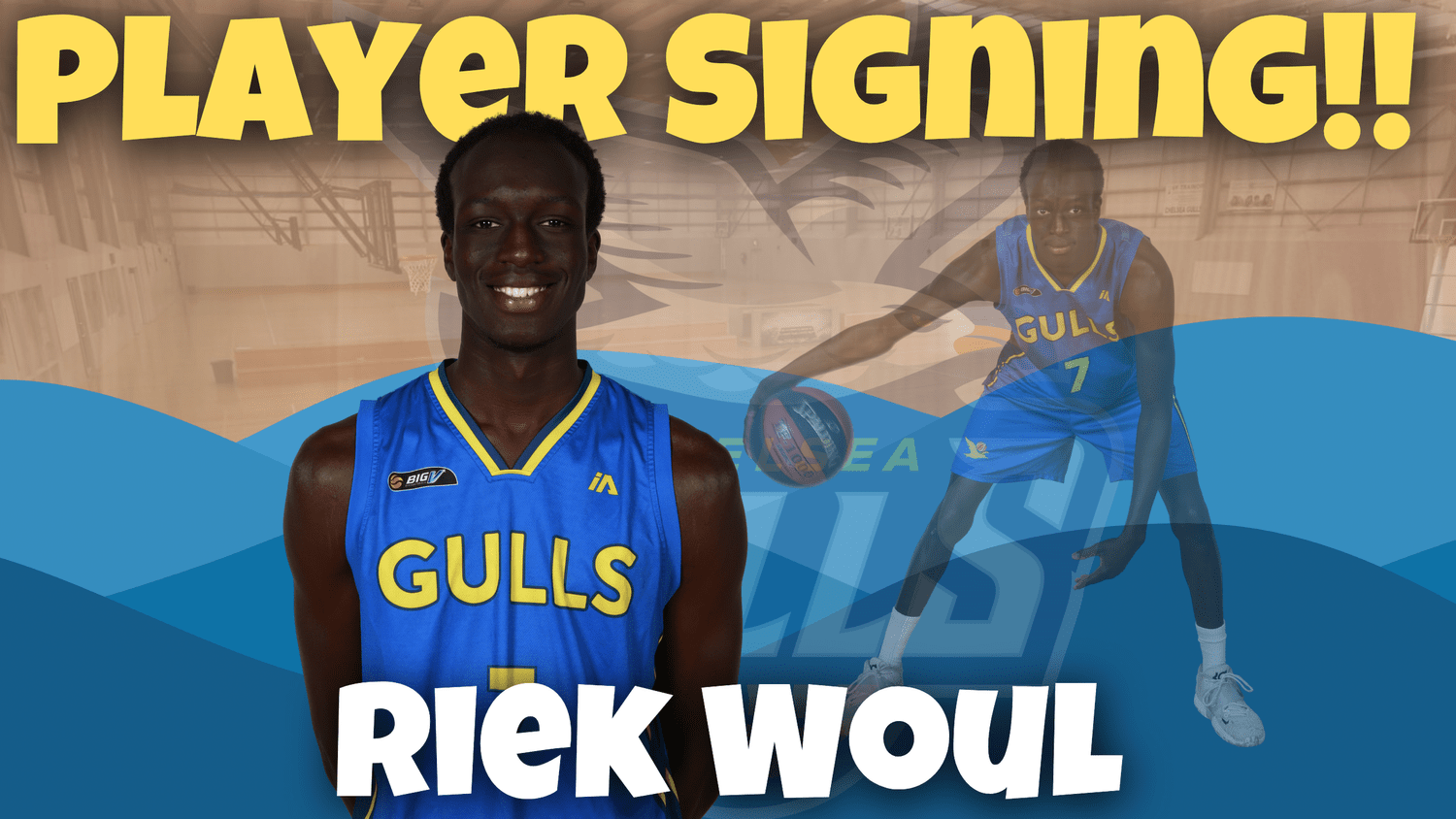 Senior Gulls — Chelsea & District Basketball Association