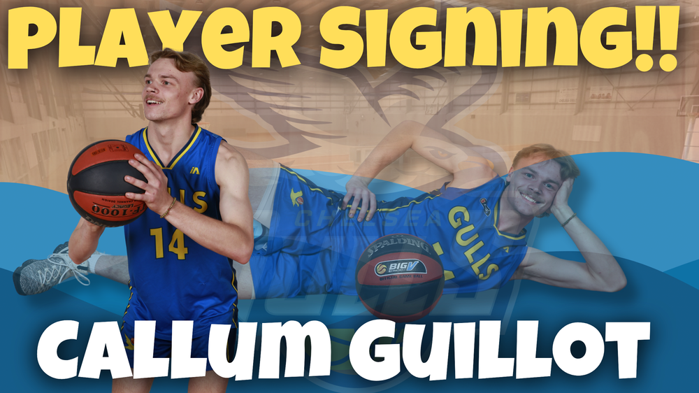 Senior Gulls — Chelsea & District Basketball Association