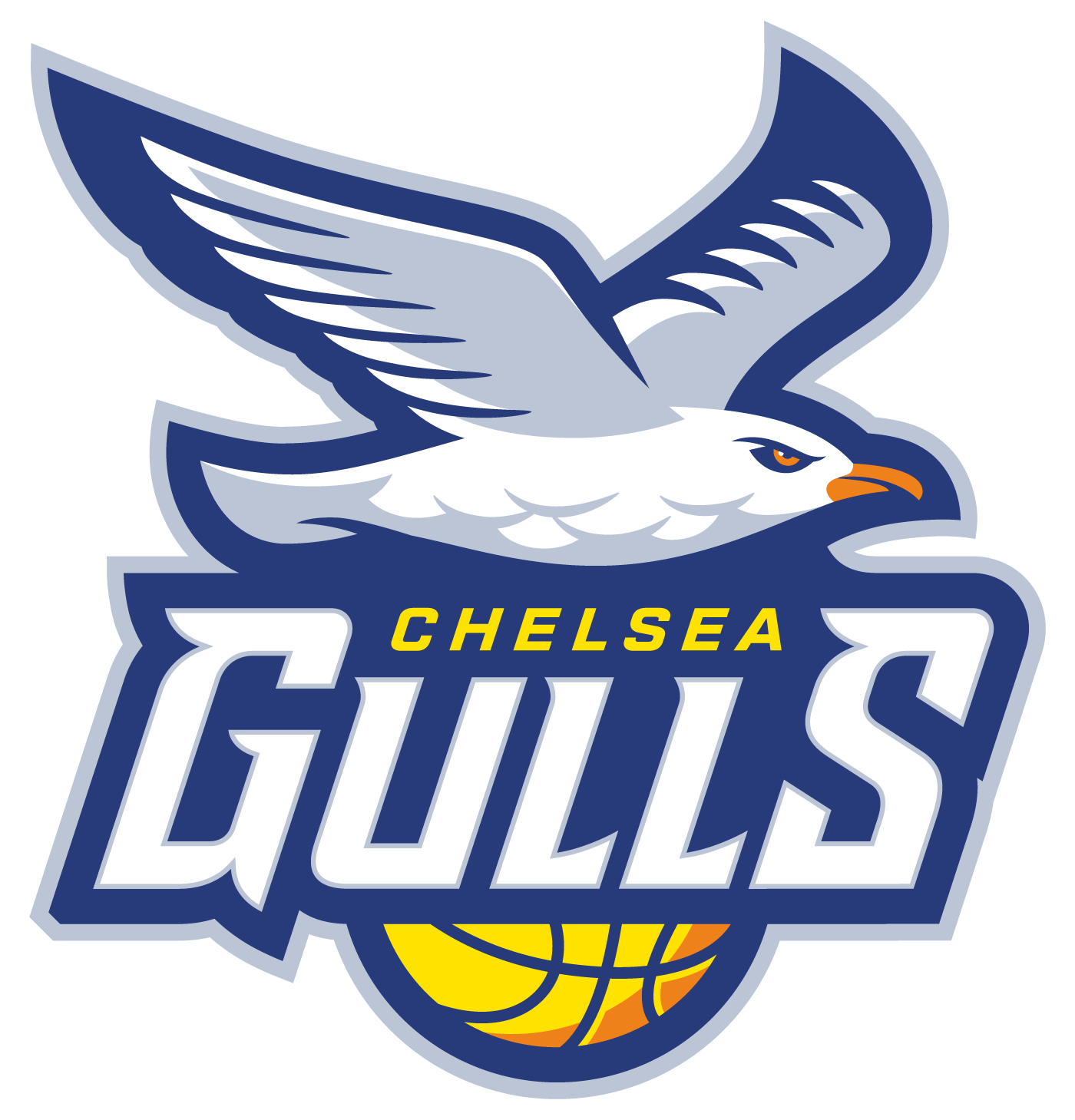 JUNIOR GULLS — Chelsea & District Basketball Association