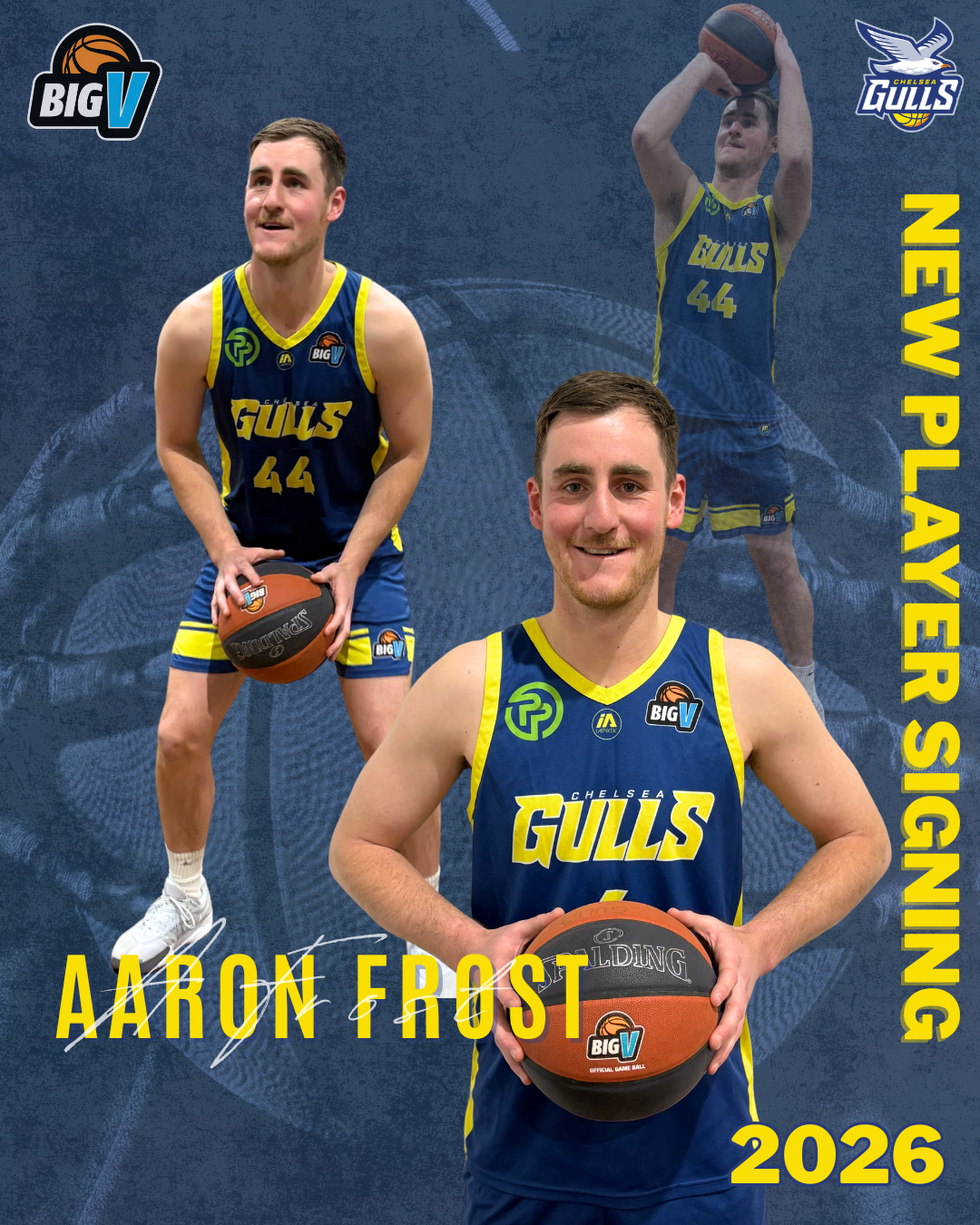 SENIOR GULLS — Chelsea & District Basketball Association