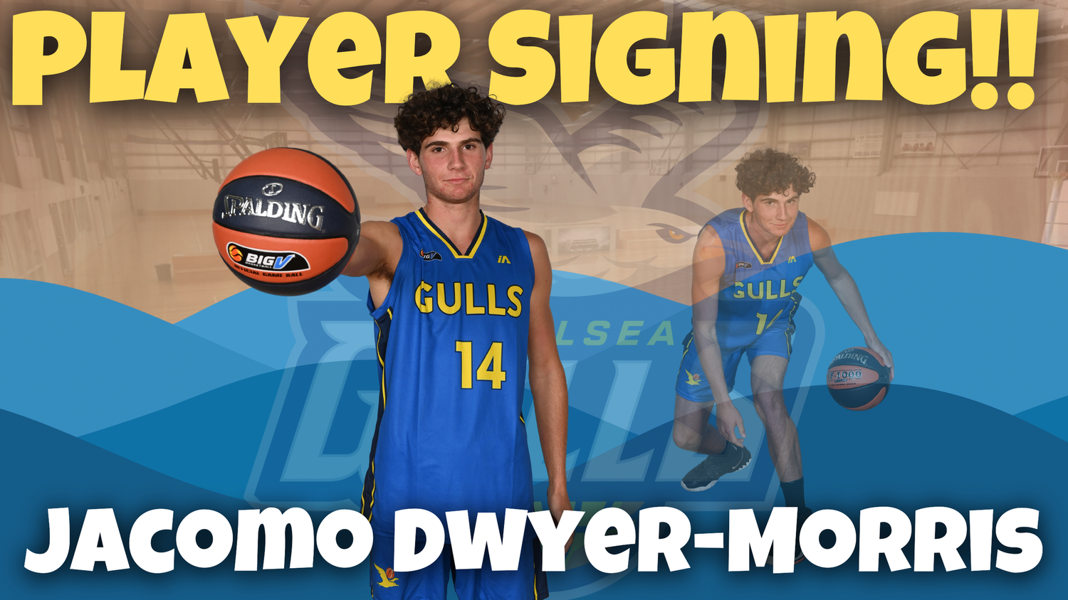 Senior Gulls — Chelsea & District Basketball Association