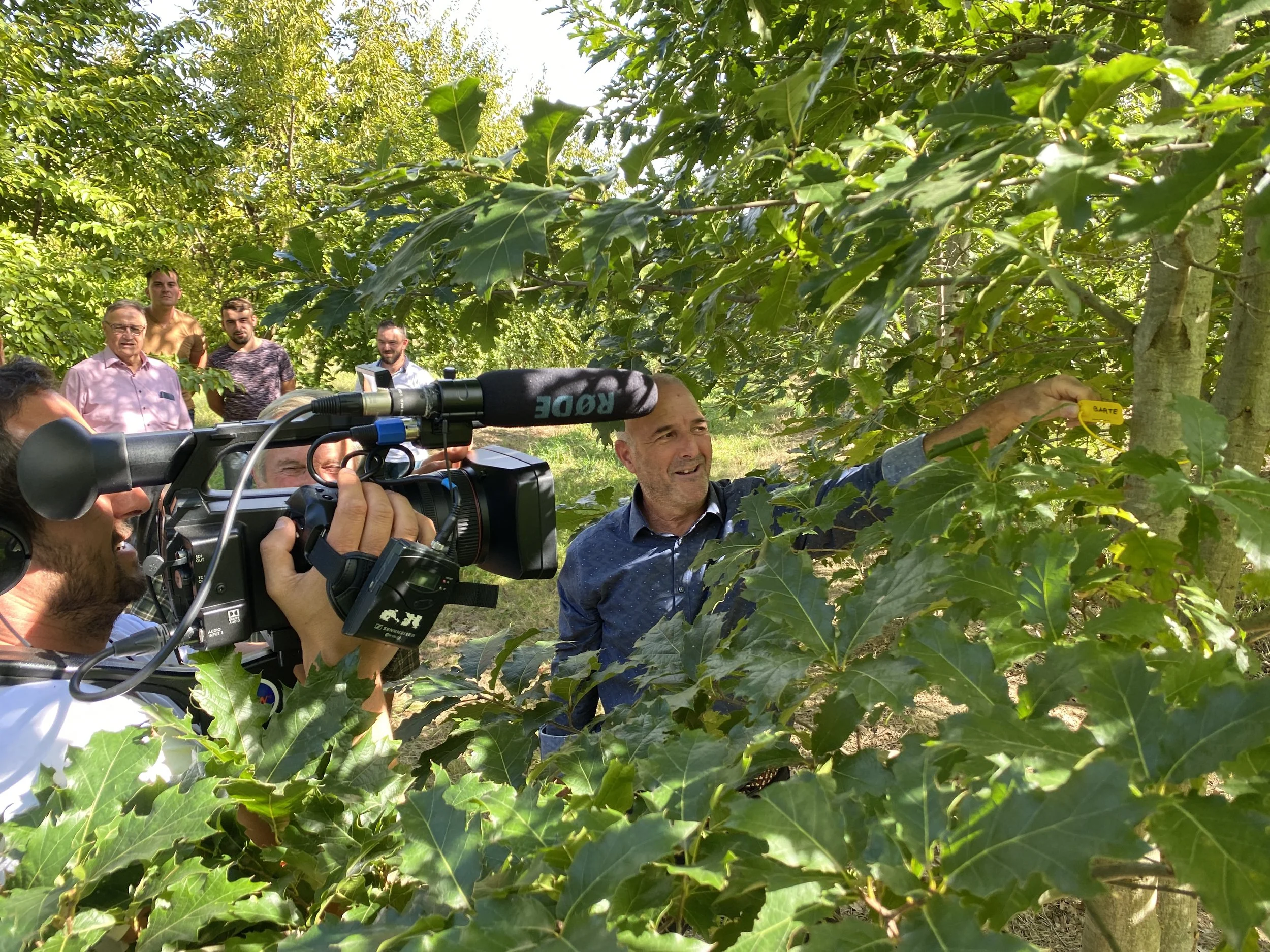 BARTENHEIM / Square Bretzel — we-scape