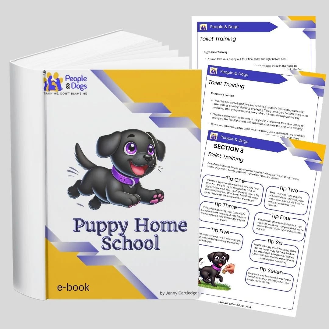Life Skills Puppy — People and Dogs | Dog Training | Dog Behaviour ...