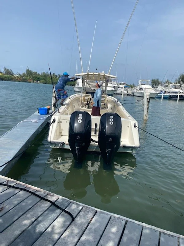 Trips — Marine Life | Puerto Rico Fishing Charters