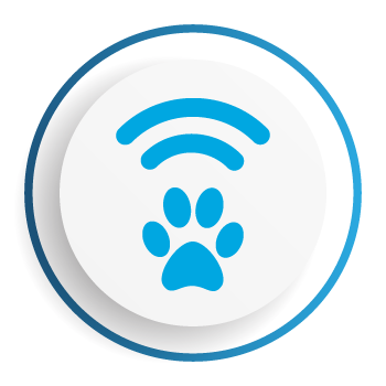 Identipet Protect | Pet Wellness Subscription — Identipet