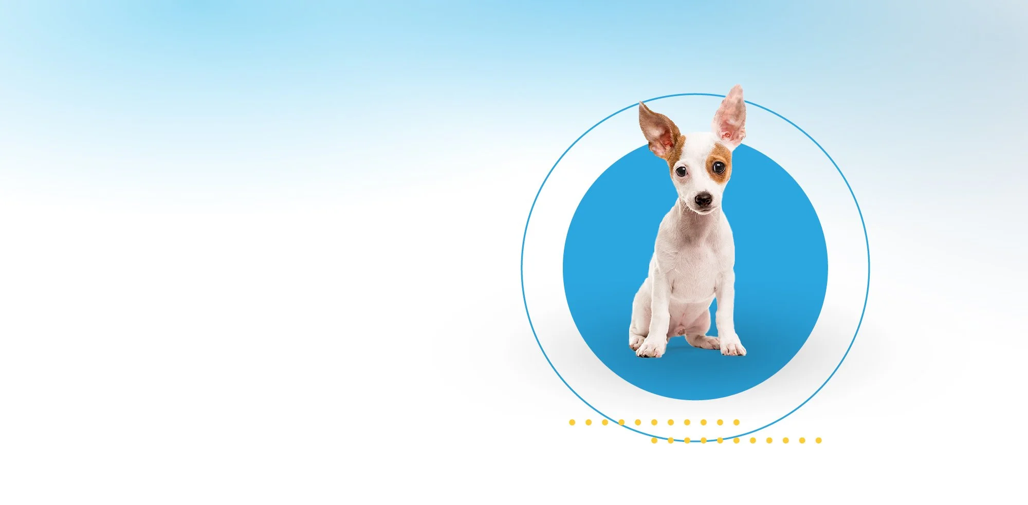 Pet Microchips & Pet Wellness Subscriptions | Identipet