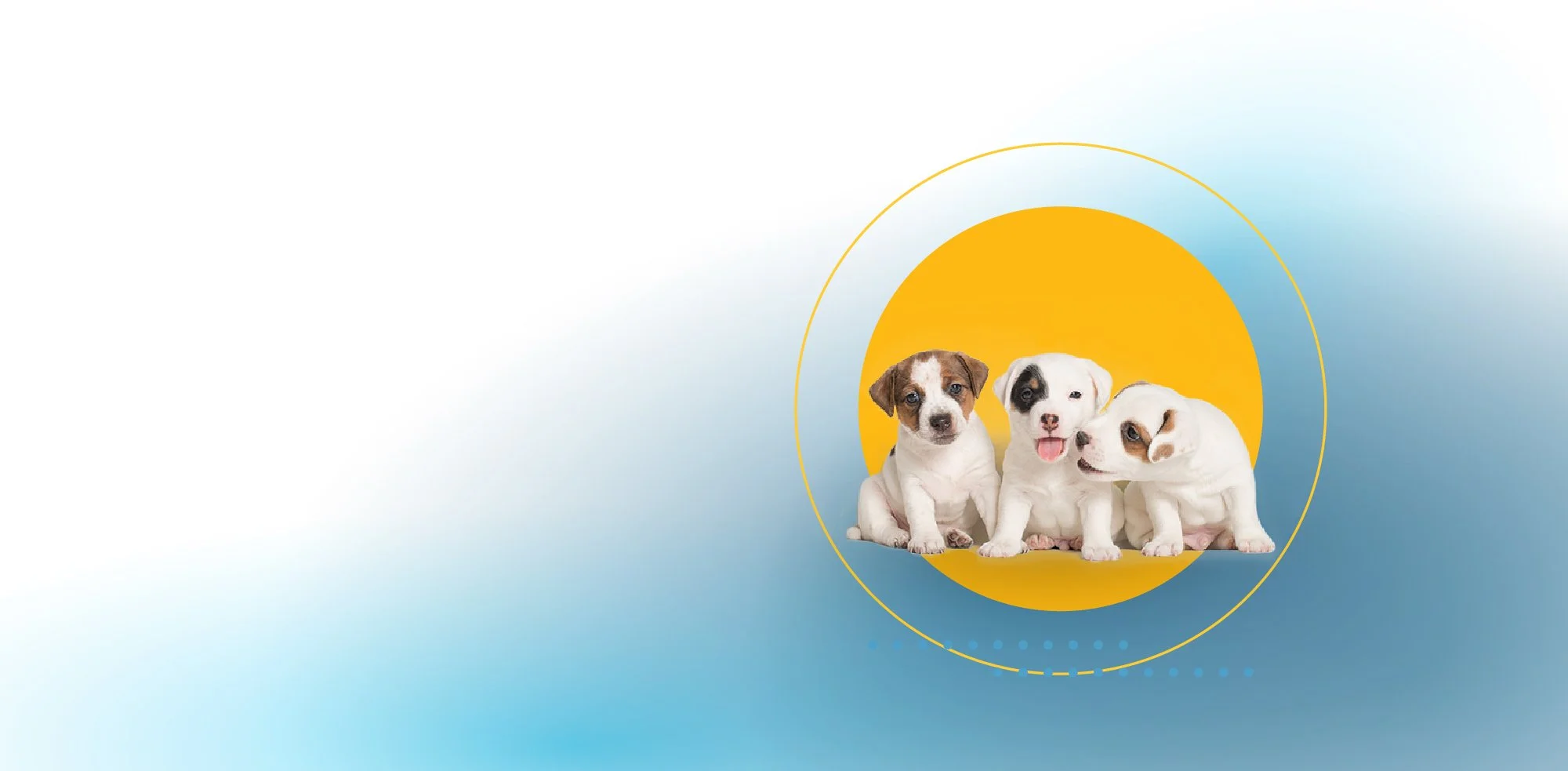 Pet Microchips & Pet Wellness Subscriptions | Identipet
