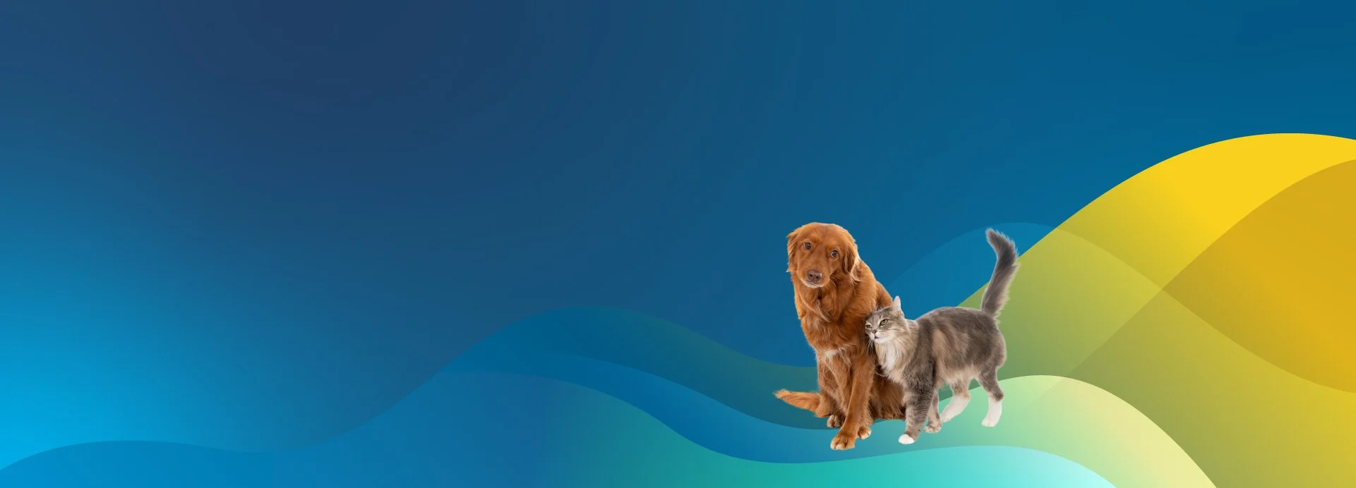 Pet Microchips & Pet Wellness Subscriptions | Identipet