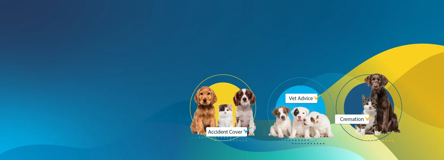 Pet Microchips & Pet Wellness Subscriptions | Identipet