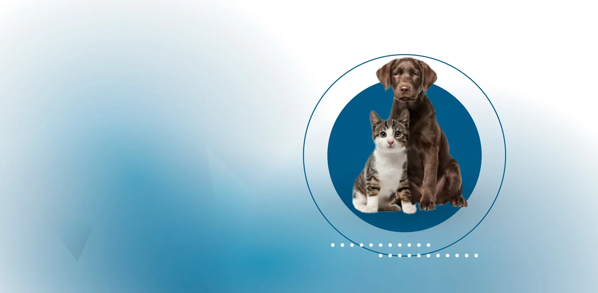 Pet Microchips & Pet Wellness Subscriptions | Identipet