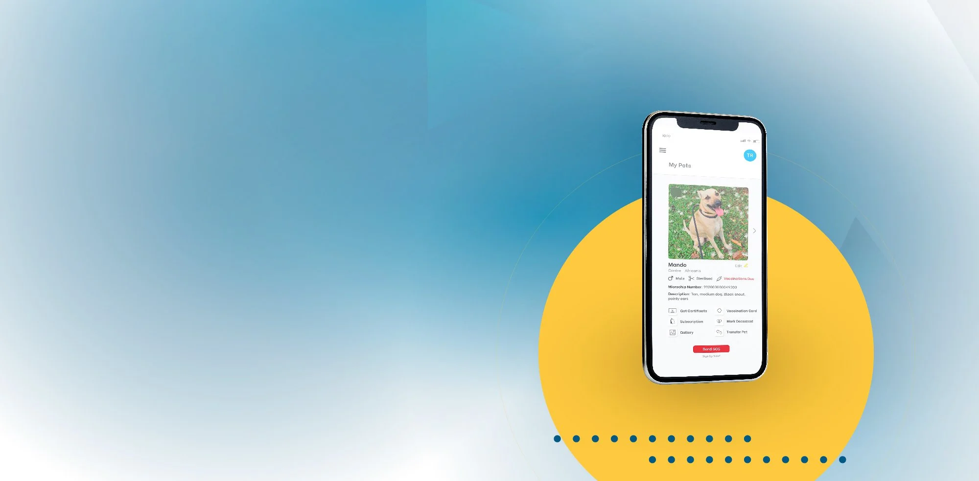 Pet Microchips & Pet Wellness Subscriptions | Identipet
