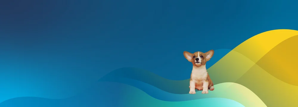 Pet Microchips & Pet Wellness Subscriptions | Identipet