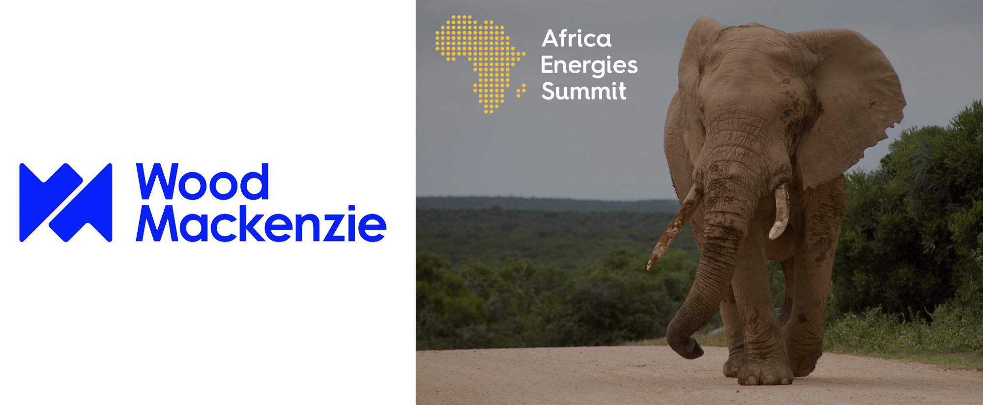 Wood Mackenzie Confirmed as Africa Energies Summit Knowledge Partner ...