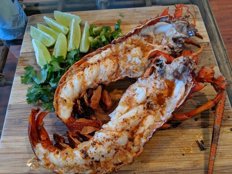 Lobster — Critters