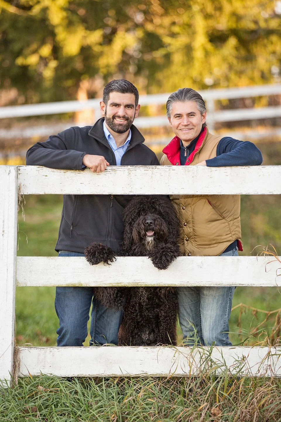 Atticus' Journey — Bear Dog | Trail Mix Treats for Dogs, Human Grade ...