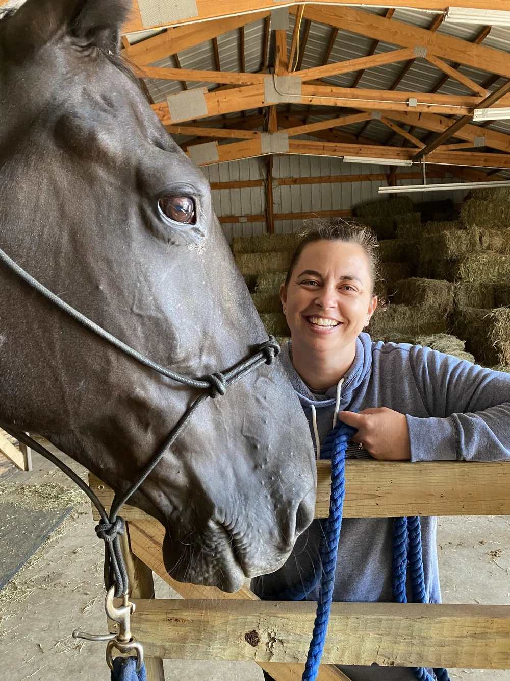 Horse Barn + Rescue Redone — Empower.