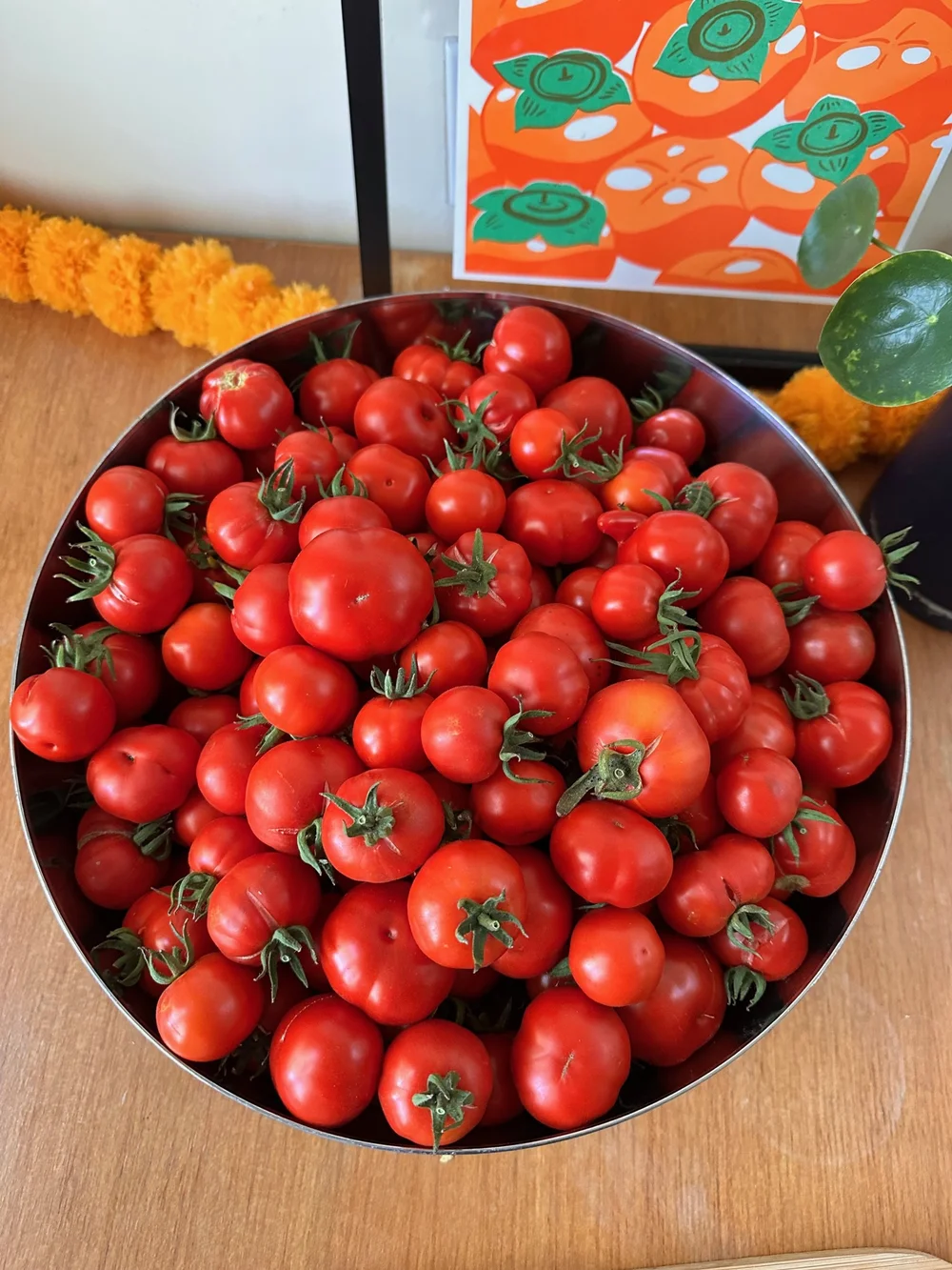 South Asian Heritage Seeds — Kula Nursery