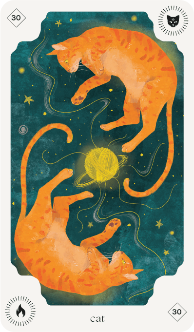 Feminist Co-Leadership