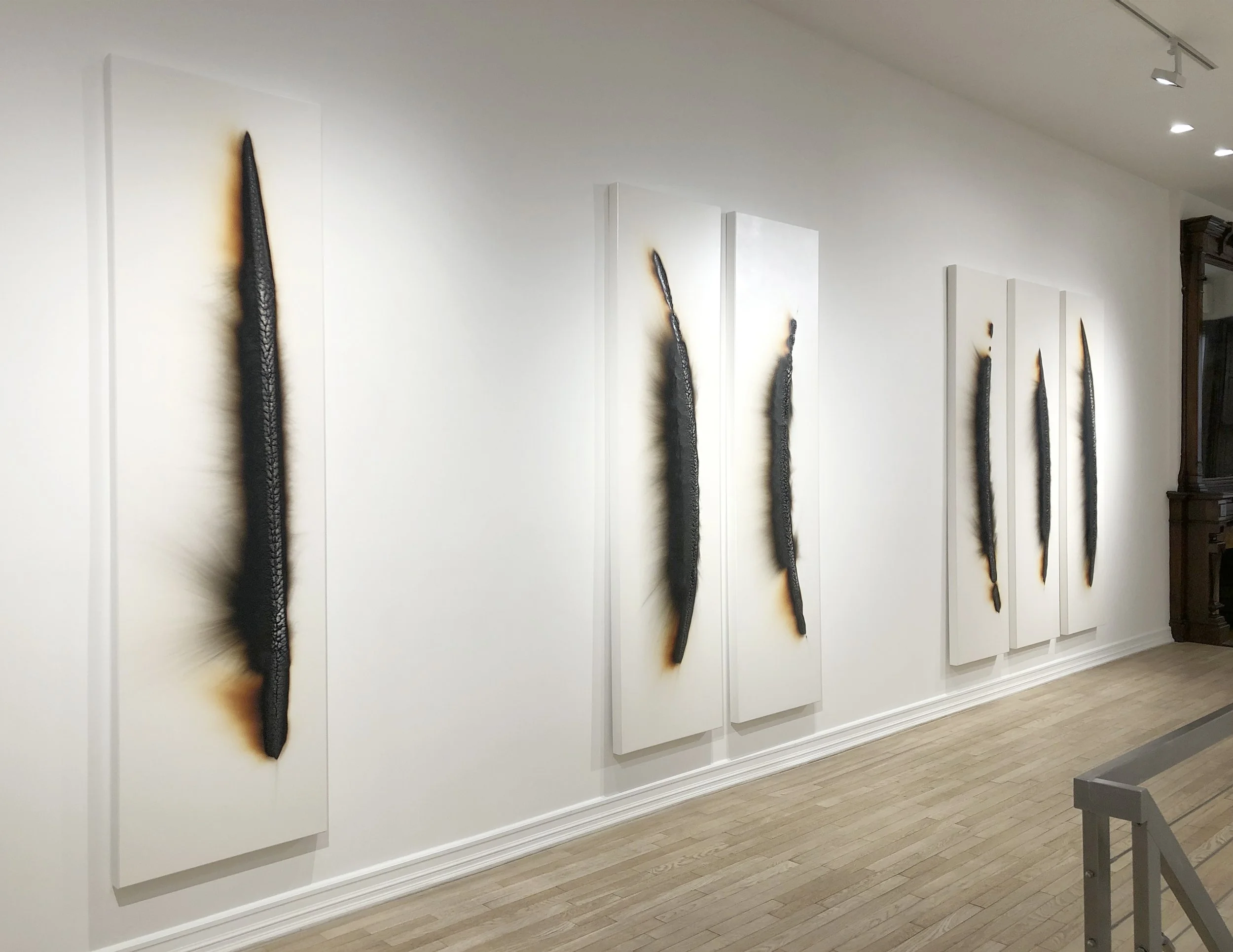 Artist Charles Ross — franklin parrasch gallery