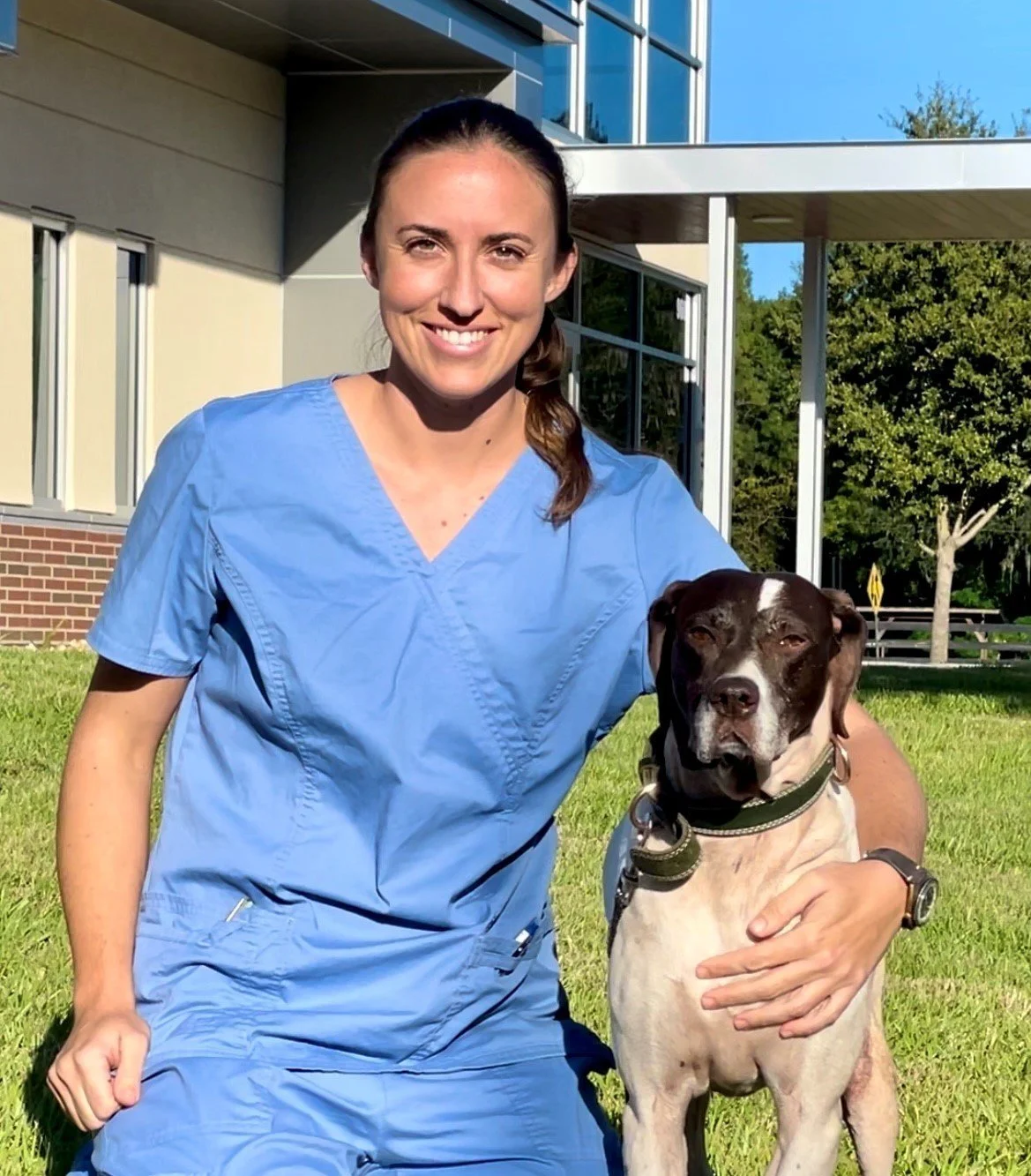 Dedicated Veterinary Staff for Your Pet's Care in Reccick, Florida ...