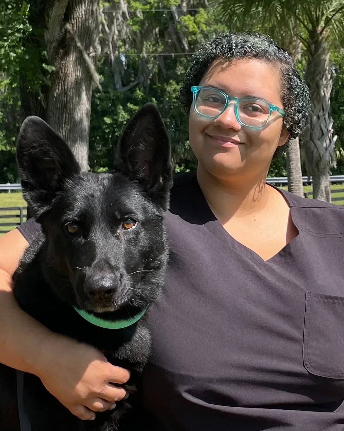 Dedicated Veterinary Staff for Your Pet's Care in Reccick, Florida ...