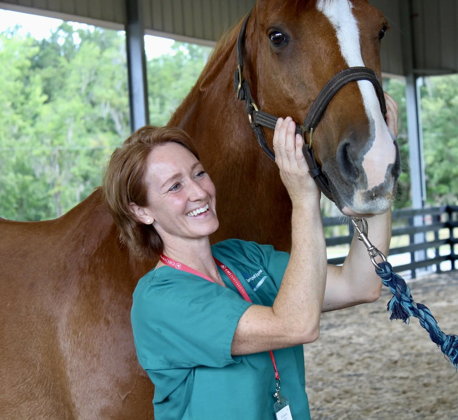 Dedicated Veterinary Staff for Your Pet's Care in Reccick, Florida ...