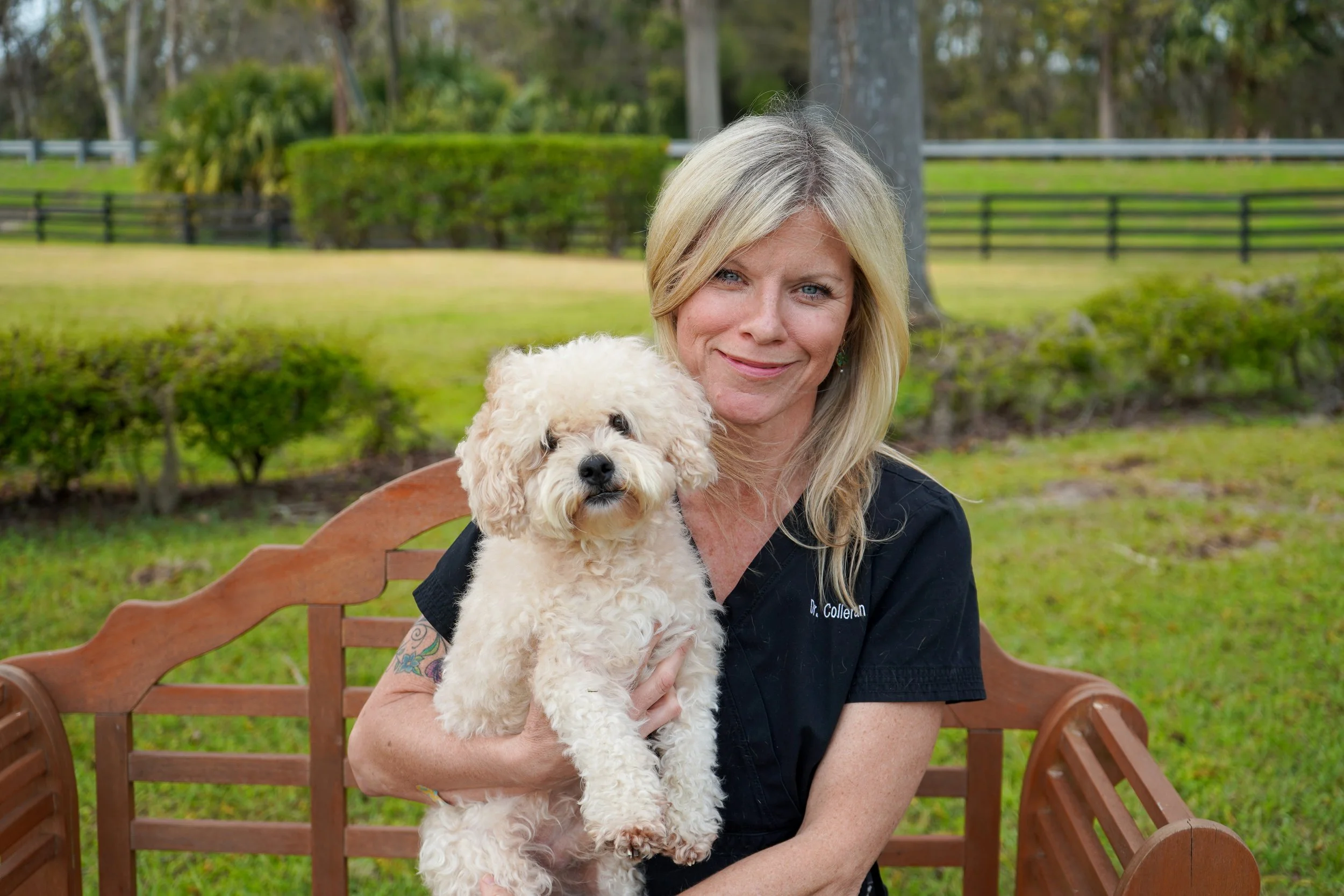 Dedicated Veterinary Staff for Your Pet's Care in Reccick, Florida ...