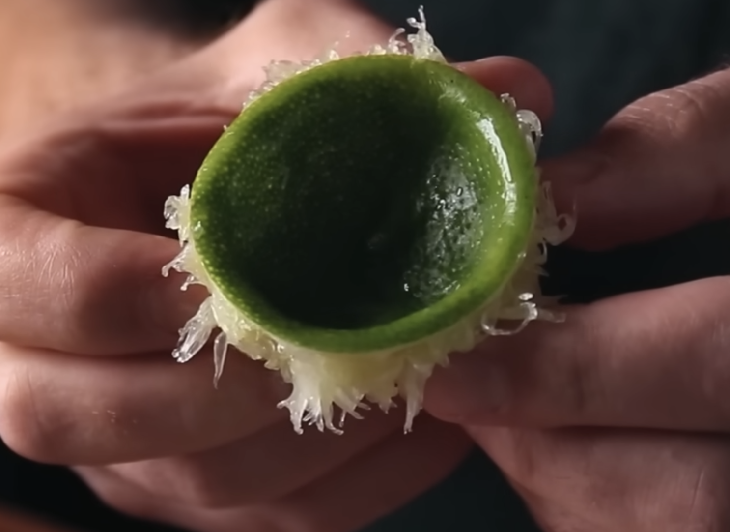 How to Make the El Diablo Cocktail — Anders Erickson