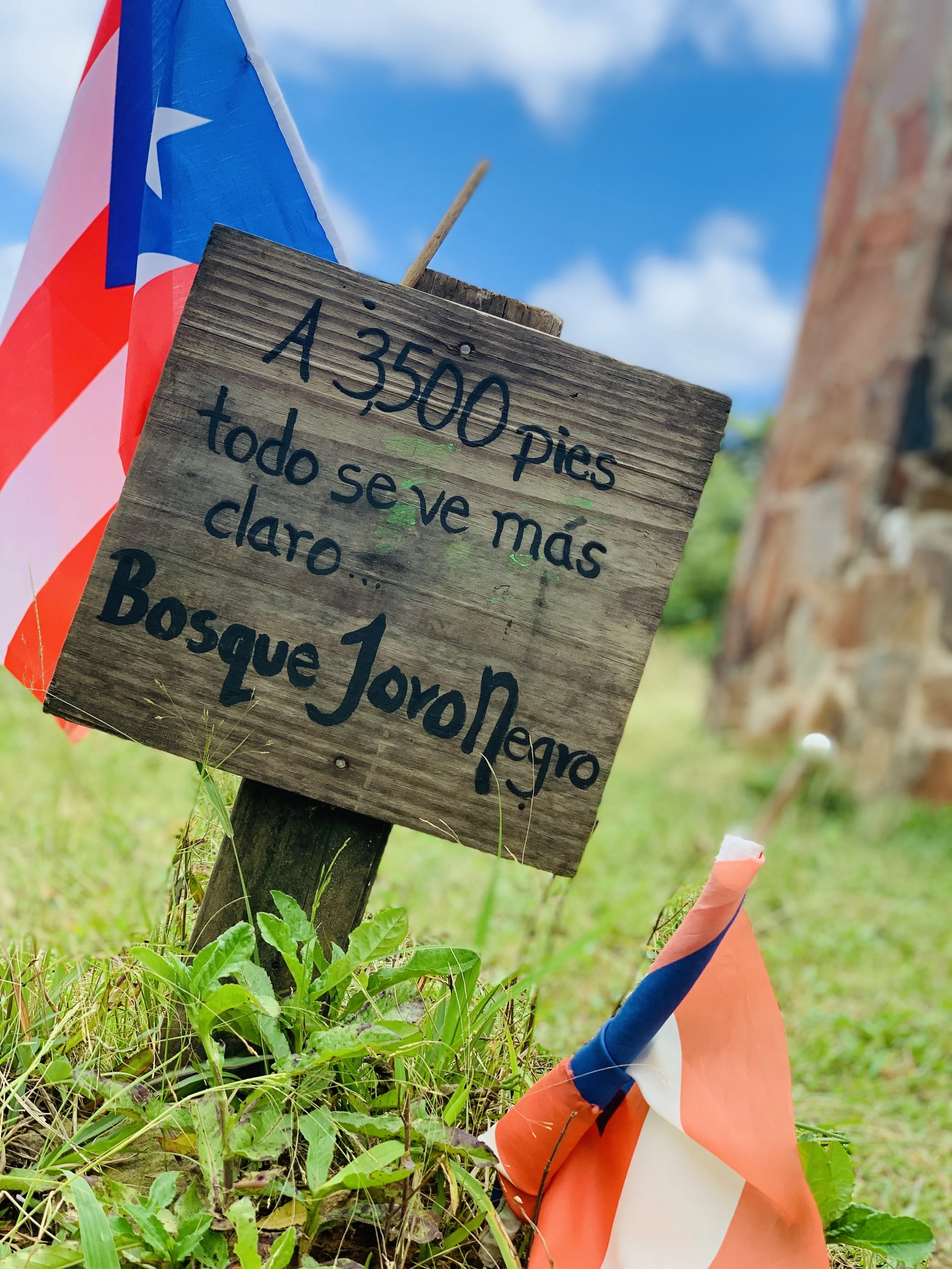 island tours — Mariex Adventures