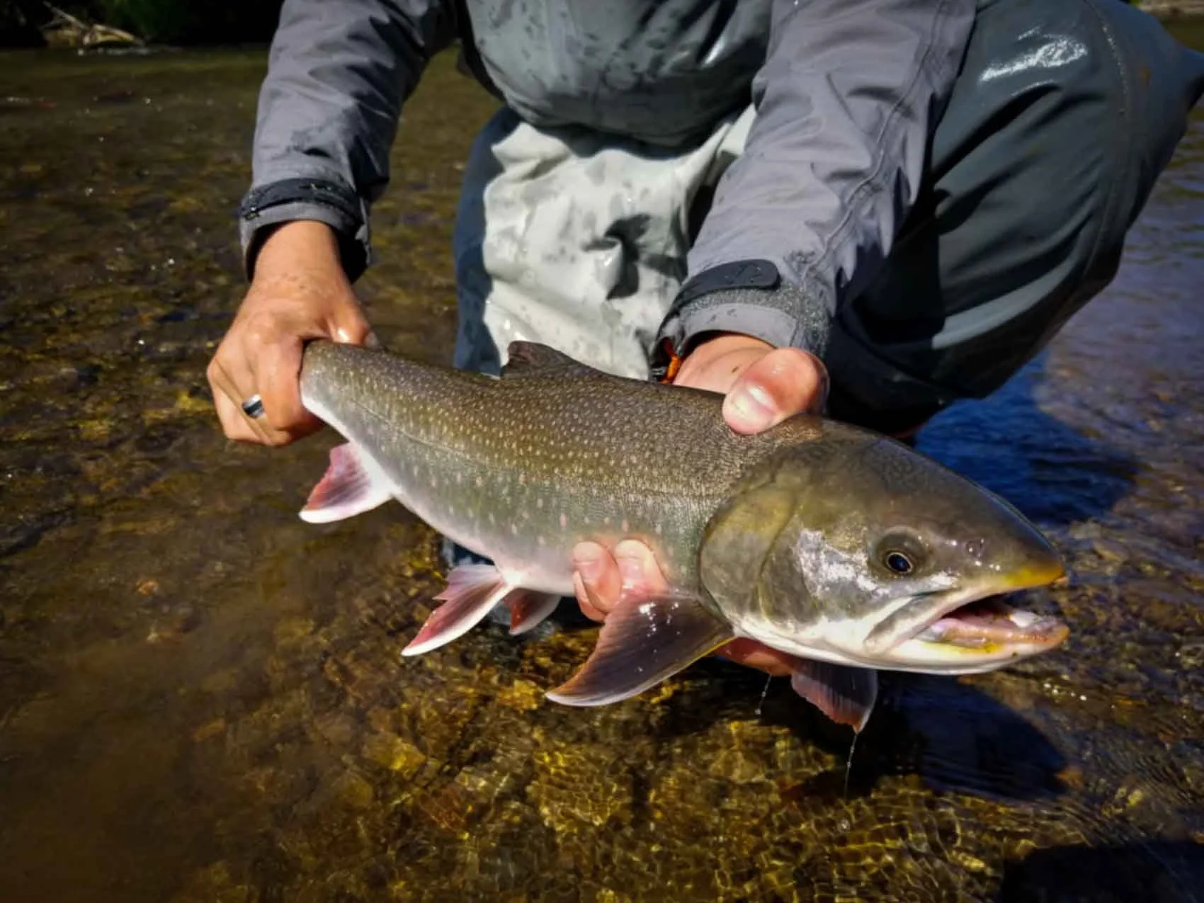 Arctic Char fishing in Katmai National Park — Katmai Fishing Guides