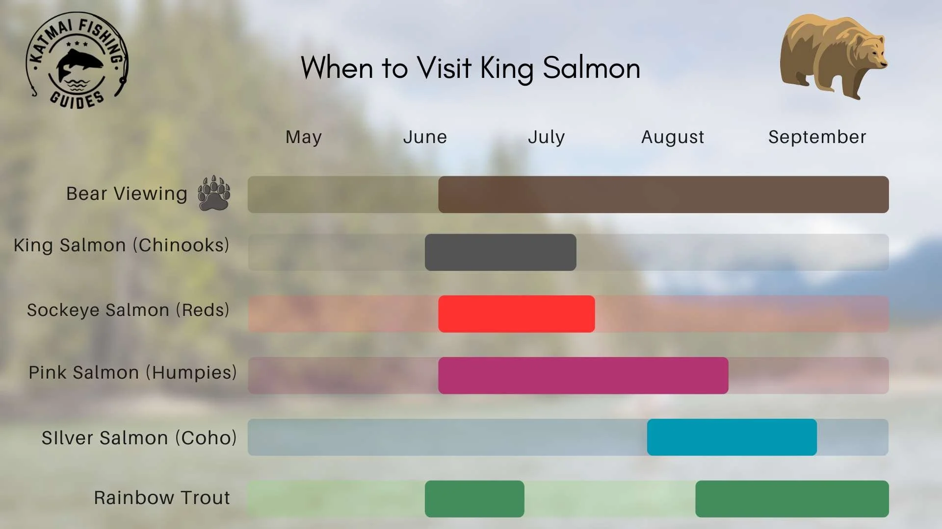 How to get to King Salmon Alaska — Katmai Fishing Guides