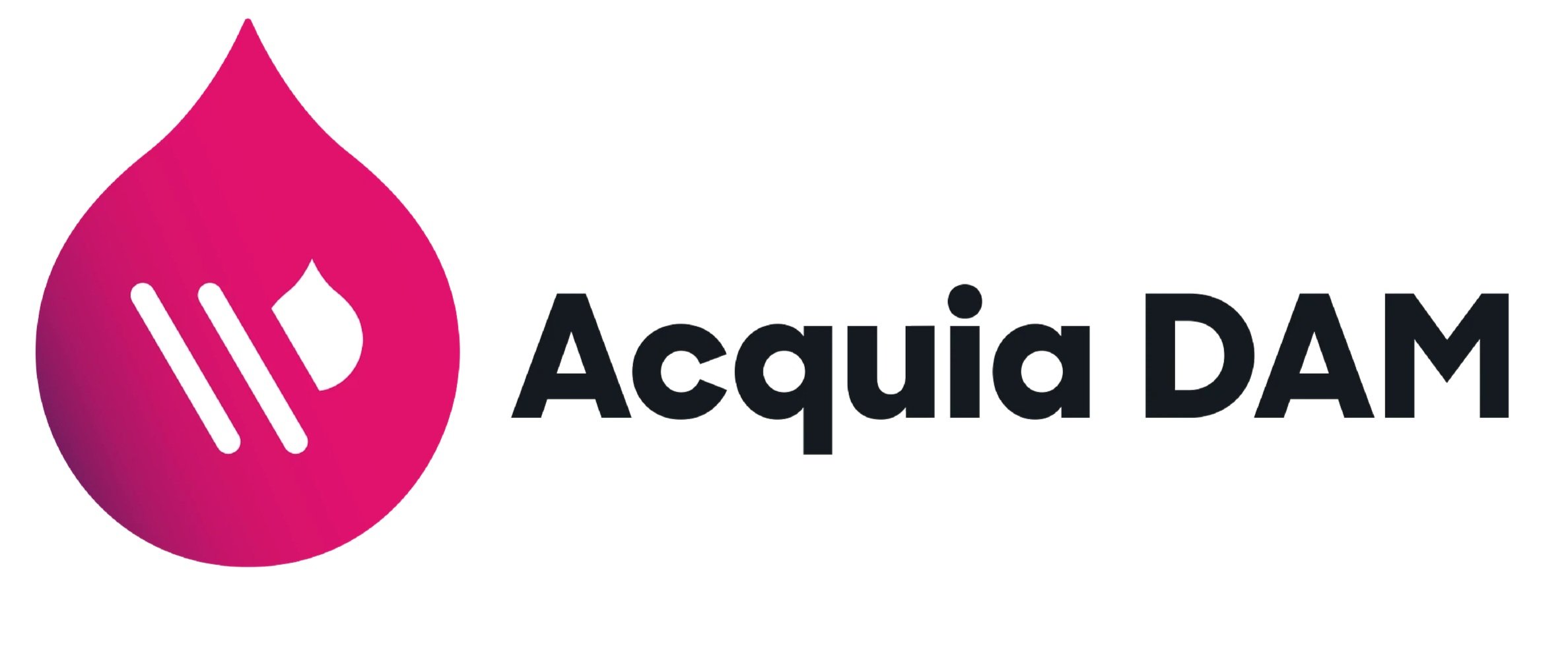 Annual Canada DAM Symposium — Lab of Excellence in Digital Asset Management