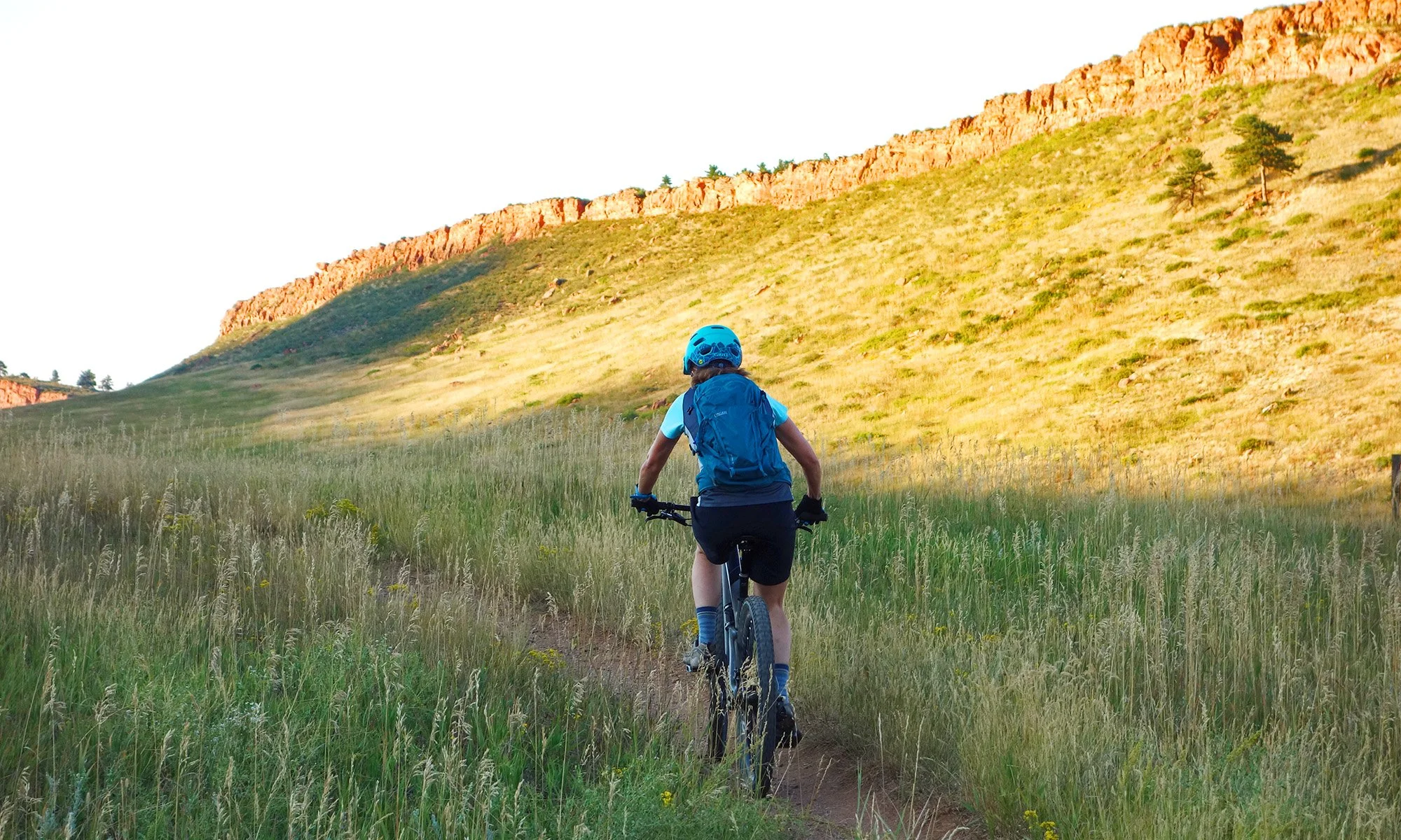 Tools & Timeline — COMPASS - Larimer Department of Natural Resources ...