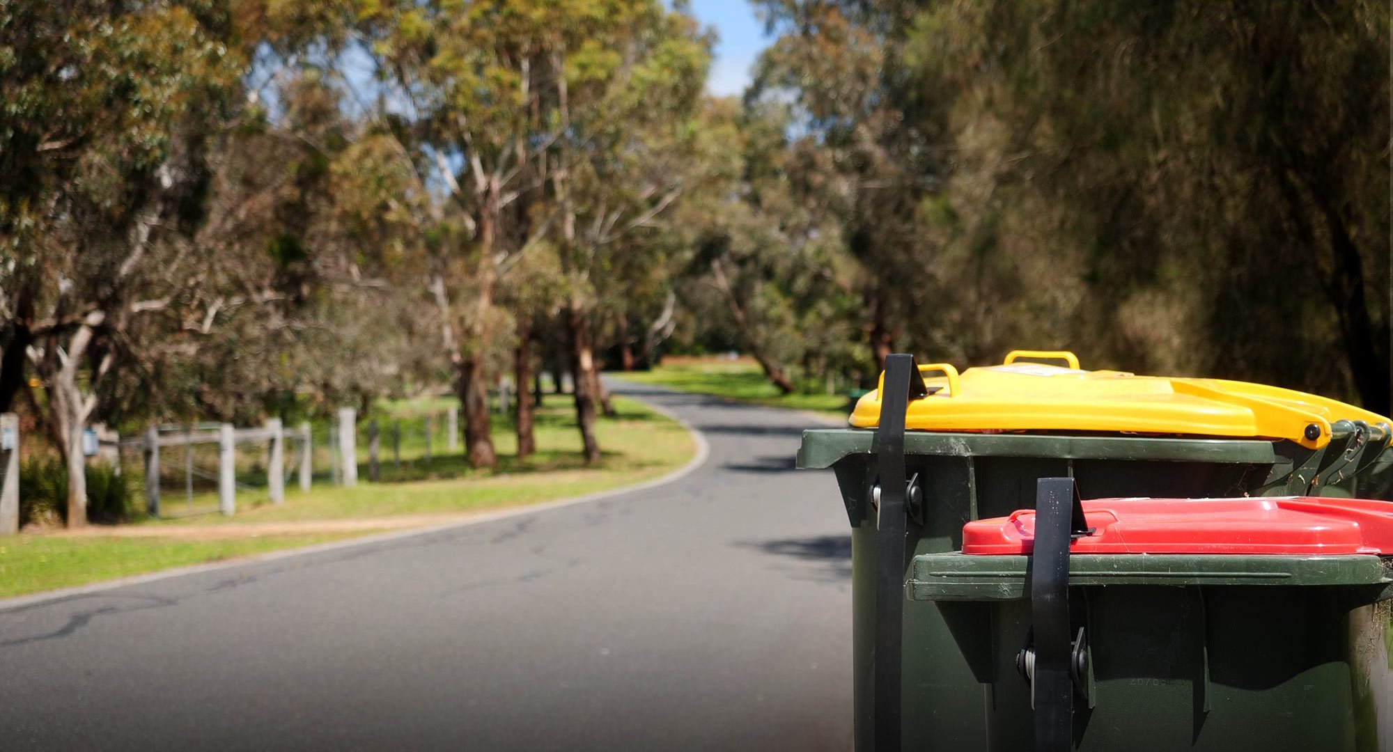 LITTER LOCK Litterlock