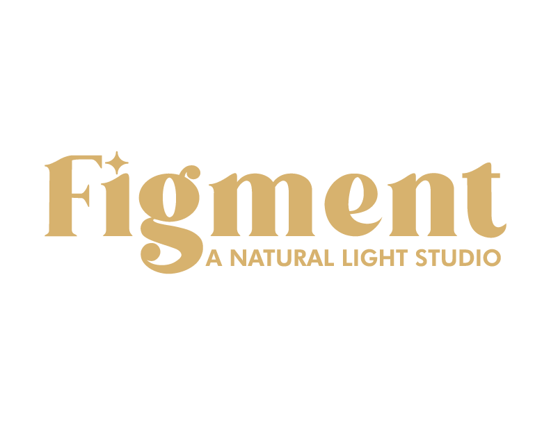 Figment