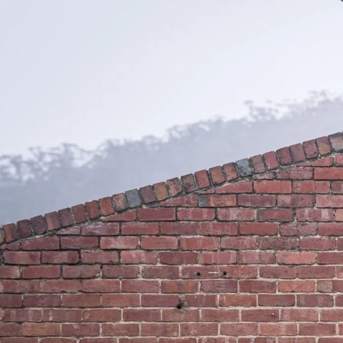 D. Williams Builders