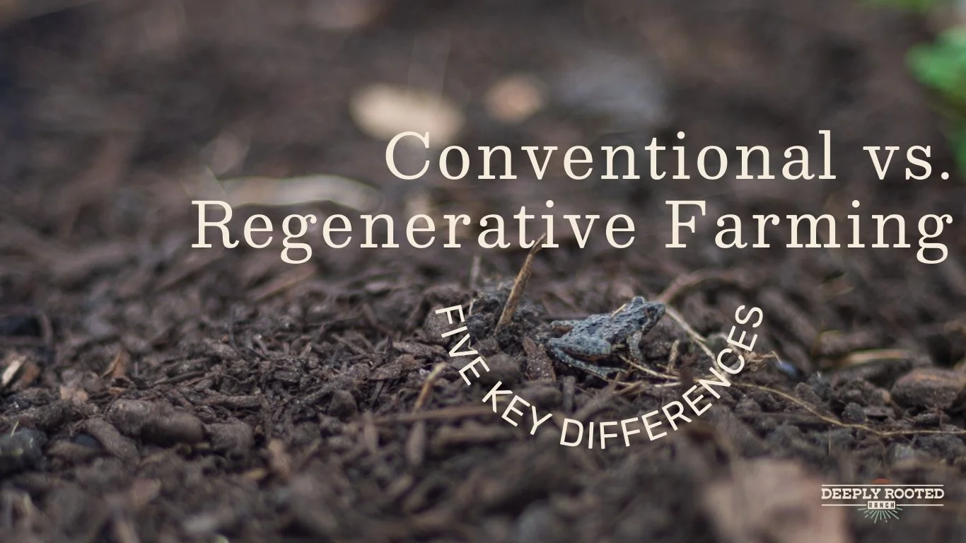 Conventional Vs. Regenerative Farming: Five Key Differences — Deeply ...