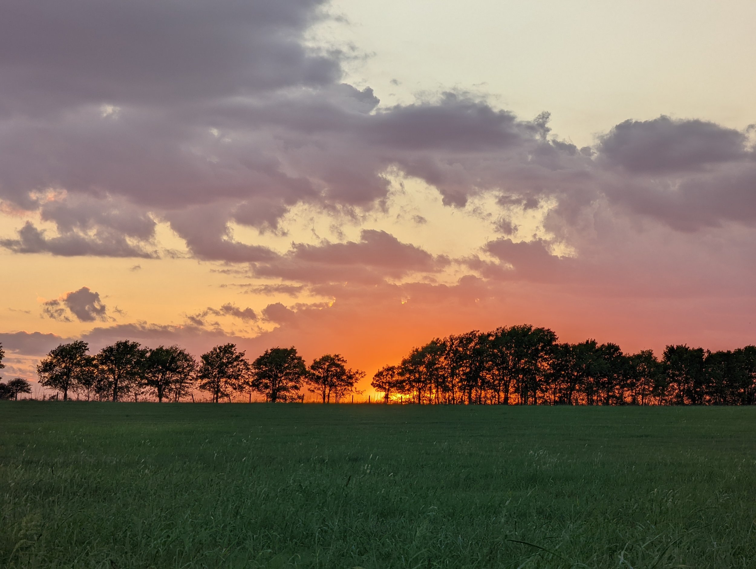 Deeply Rooted Ranch