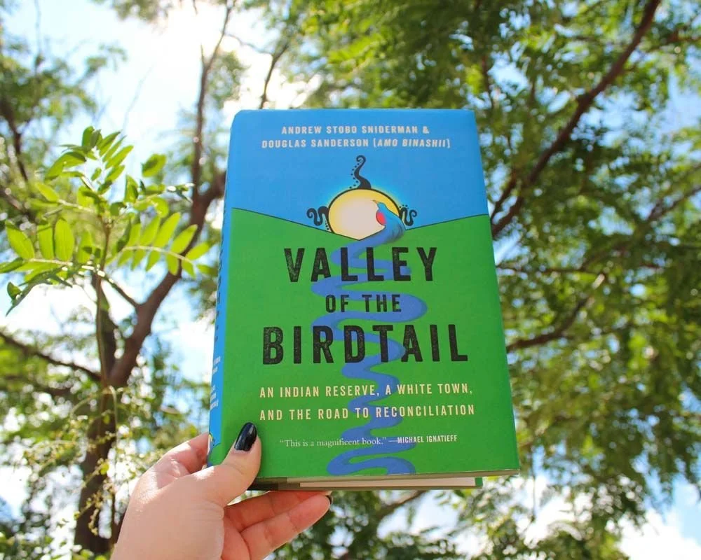 Valley of the Birdtail: An Indian Reserve, A White Town, and the Road ...