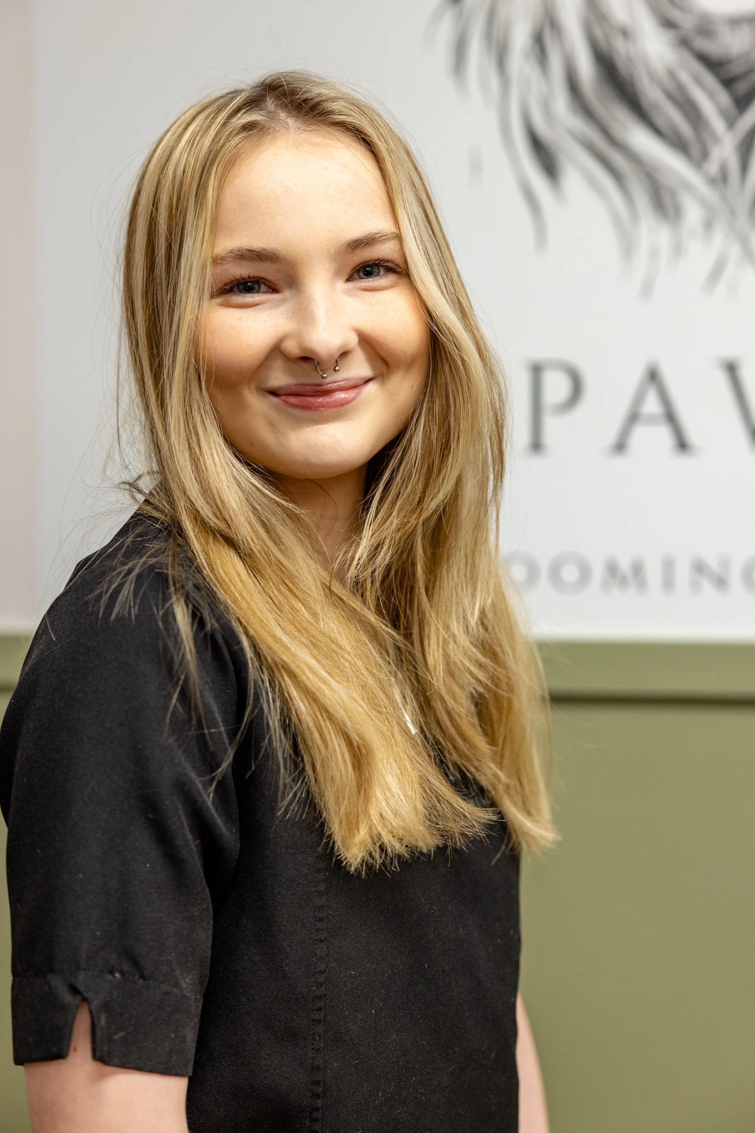 The Team — The Paw Shed