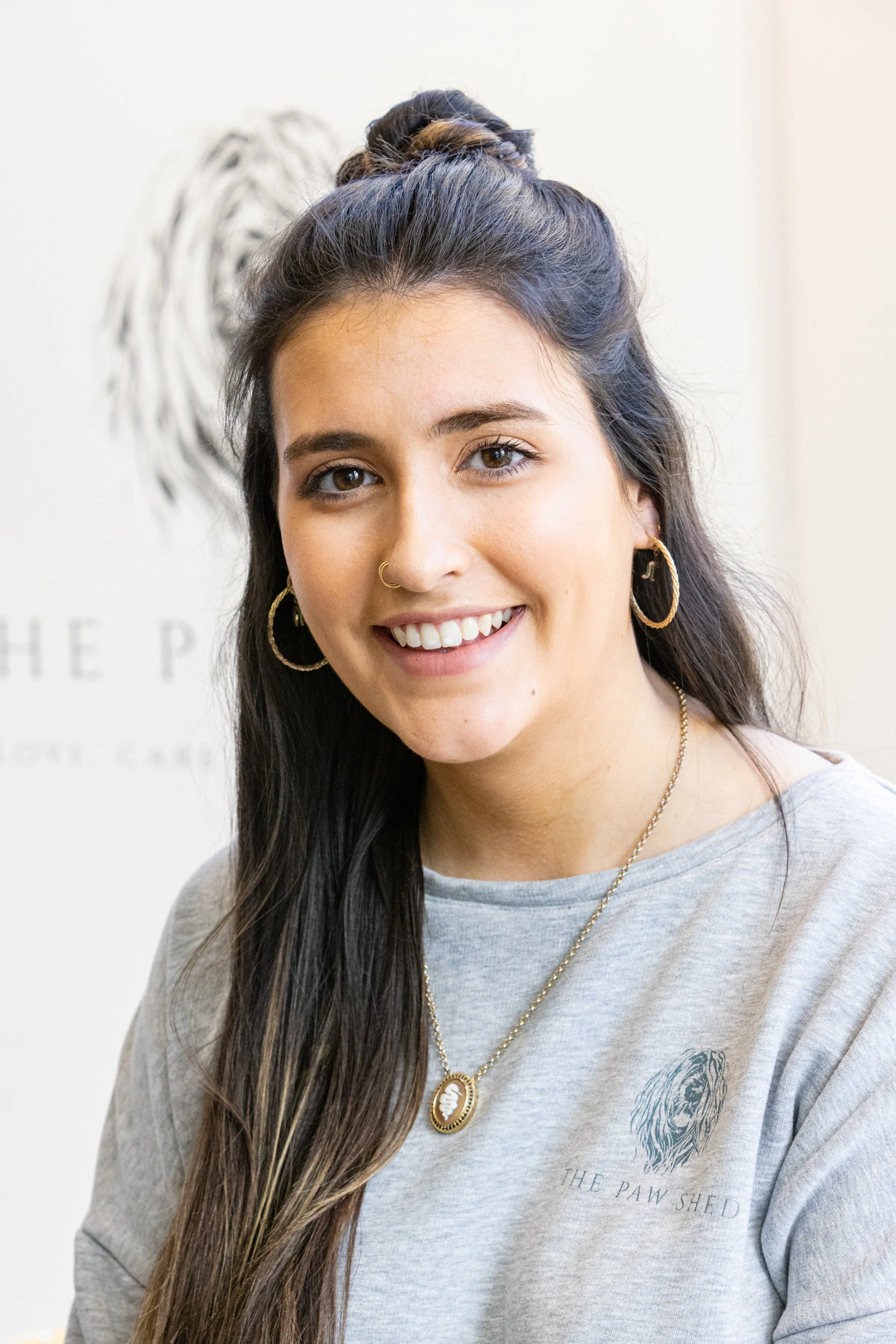 The Team — The Paw Shed