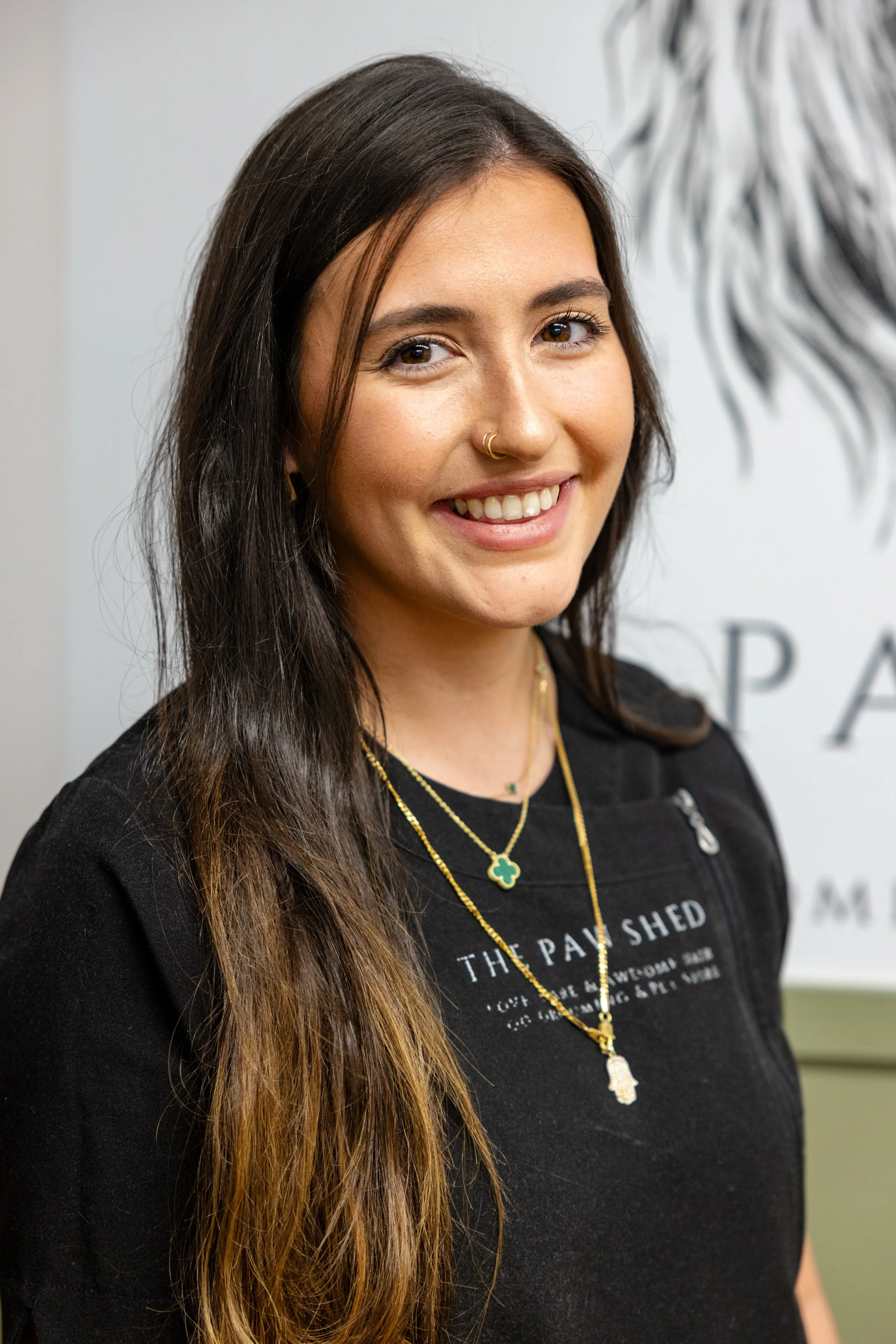 The Team — The Paw Shed