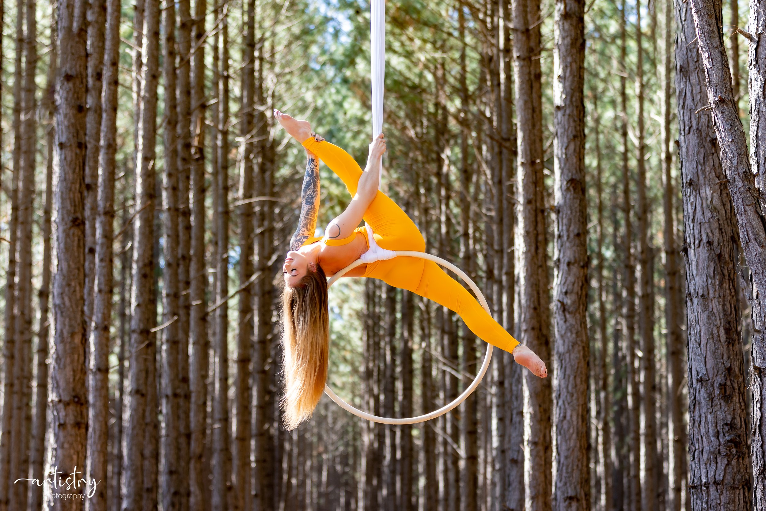Adult Courses — Infinity Pole Aerial Dance