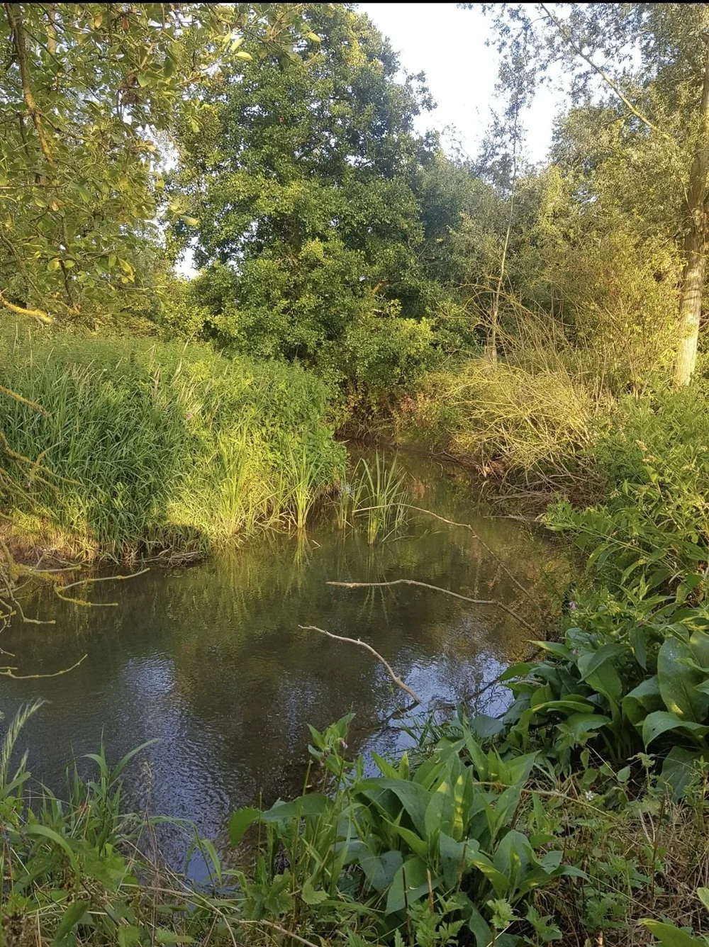 North Essex Farm Cluster