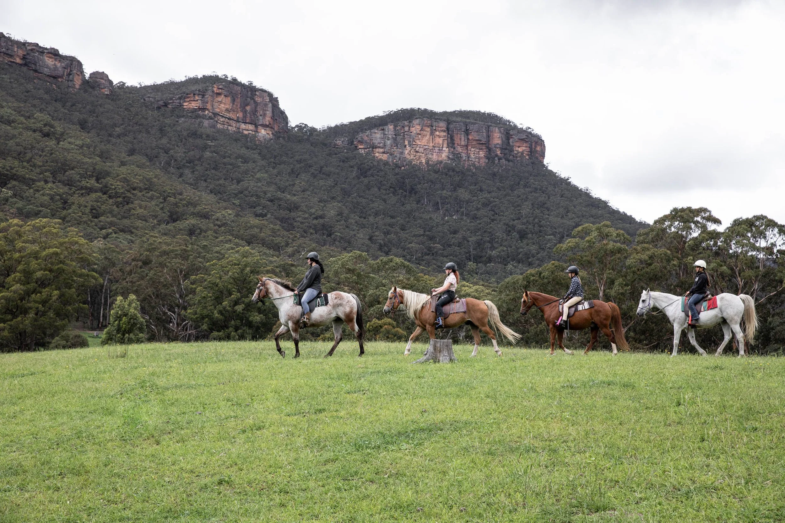 Blue Mountains Horse Riding | Centennial Glen Stables