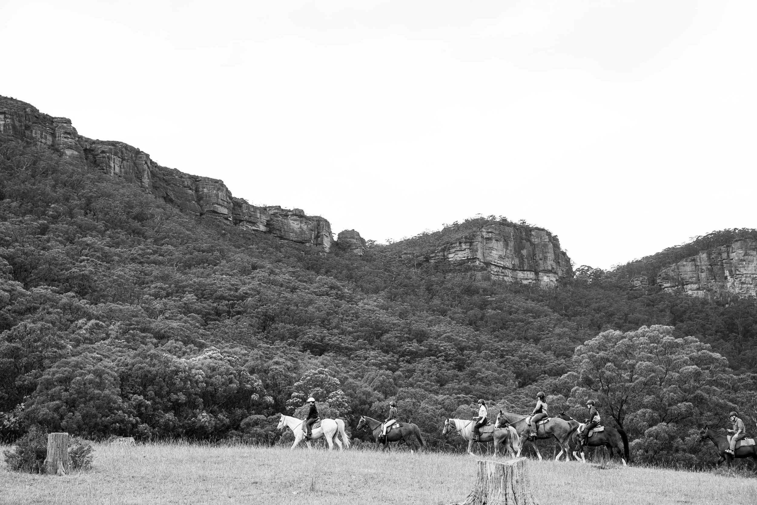 Gallery — Centennial Glen Stables