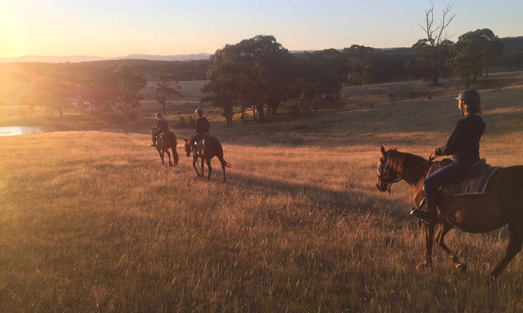 Blue Mountains Horse Riding | Centennial Glen Stables