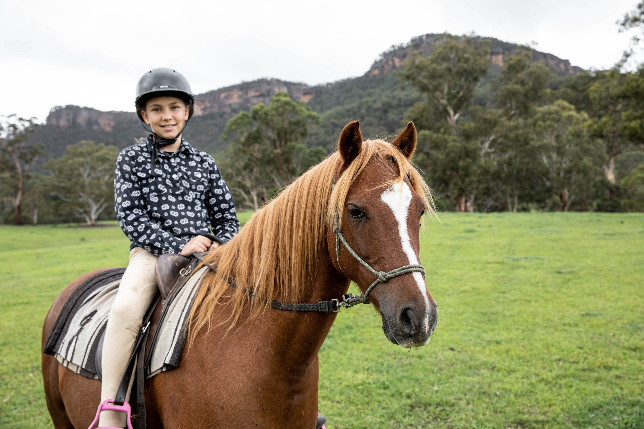 Blue Mountains Horse Riding | Centennial Glen Stables